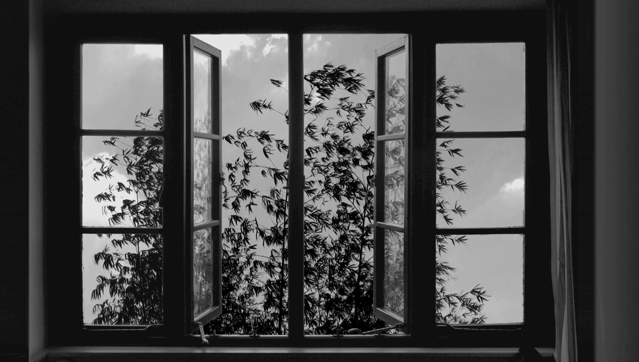 24 Frames Film Review Slant Magazine 24 Frames Film Review Slant Magazine