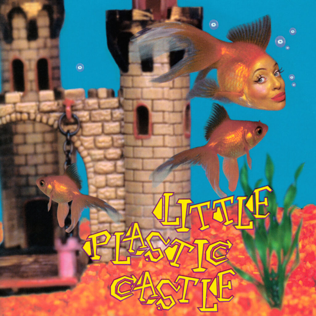 Review: Ani DiFranco, Little Plastic Castle - Slant Magazine